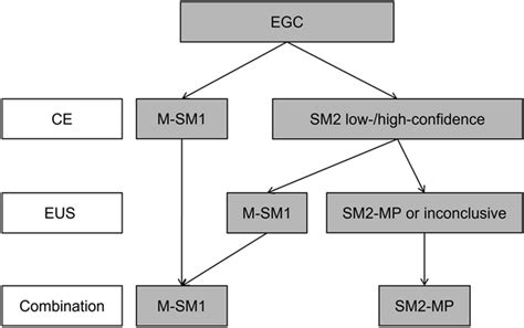 The Integrated Diagnostic Algorithm Combining Conventional Endoscopy