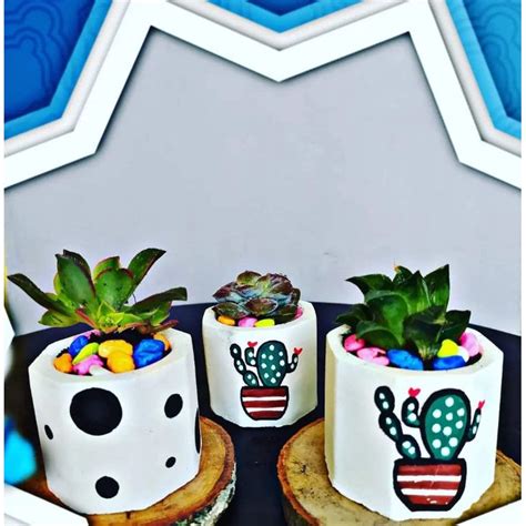 Jual Paket Sukulen Mini Asli Hidup Dengan Pot Beton Unik Cantik Lucu Dan Batu Hias Paket Murah