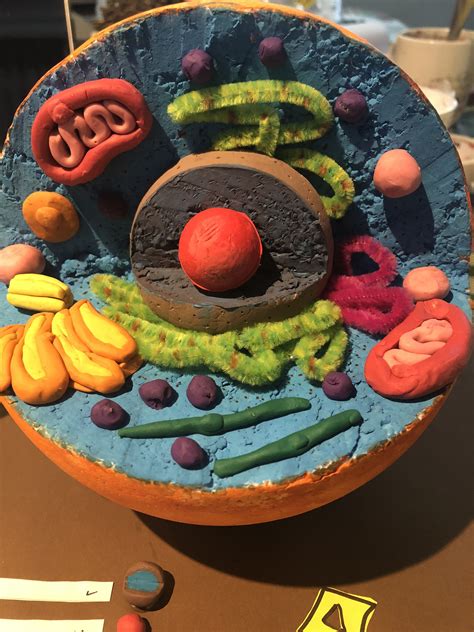 Animal Cell 3d Model Labeled At Hayley Pell Blog