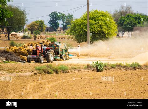 Separating The Grain From The Chaff In Rural Punjab Province Pakistan