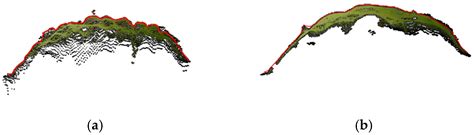 Crop Leaf Phenotypic Parameter Measurement Based On The Rkm D Point Cloud Method