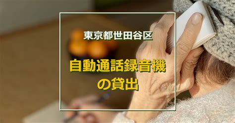 世田谷区紙おむつの支給助成支援の対象となる方 高齢者支援ネット