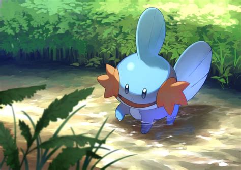 Ichihara Yuuto Mudkip Nintendo Pokemon Commentary Request Highres Blue Eyes Blurry Day