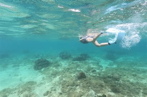 오키나와 스노클링 And 스쿠버다이빙 자격증 1일 코스 Live Japan 일본여행정보사이트