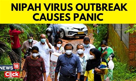 Nipah Virus Kerala News Deadly Nipah Virus Outbreak In Kerala Kerala Nipah Virus News18