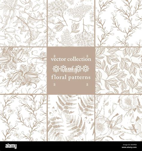 vector collection of floral seamless patterns stock vector image and art