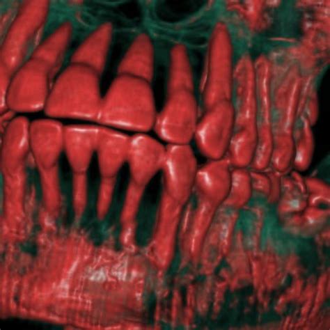 Sheared Trilinear Bilinear Barycentric Top Row And Trilinear