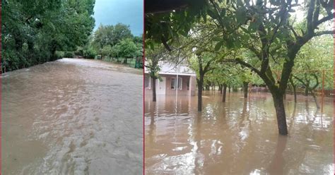 ძლიერი წვიმის შედეგად მარტვილში სახლები და გზები დაიტბორა