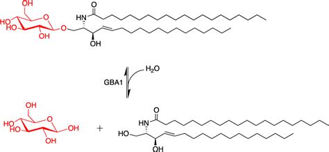 Figure 1 1 From Glucosylceramide Metabolism From 3d Structure To The Development Of Selective