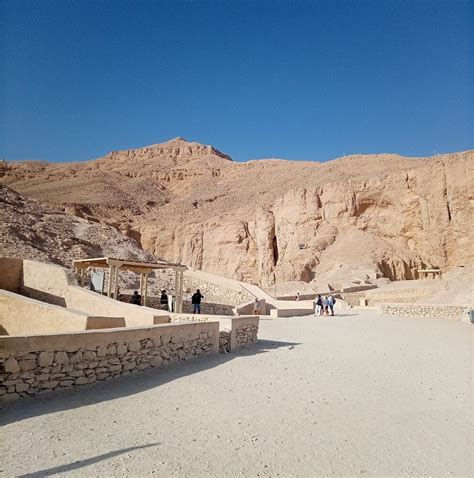 Adams Tours Luxor All You Should Know Before Going 2026 Reviews