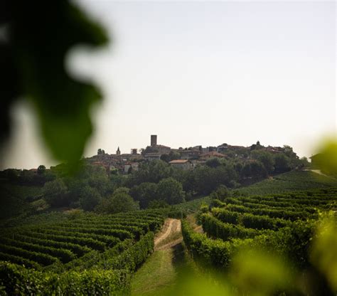 Wineries In And Around La Morra Which Ones To Visit Boroli