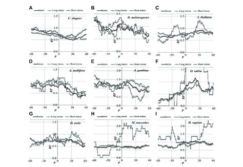 RF Distributions Around The First Exon Junction Site The X Axis Is The Download Scientific