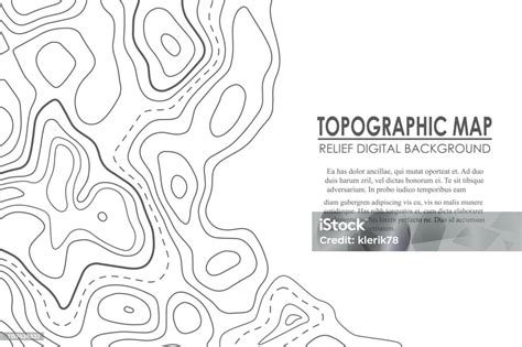 지형도 등고선 배경입니다 표고가 있는 선 맵입니다 지리적 세계 지형지도 그리드 추상 벡터 일러스트레이션 지형도에 대한 스톡 벡터