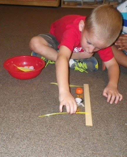 SmartSquirrel Symmetry With Random Objects
