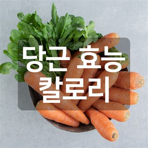 당근 효능 10가지 당근 칼로리 영양성분 알아보기 네이버 블로그