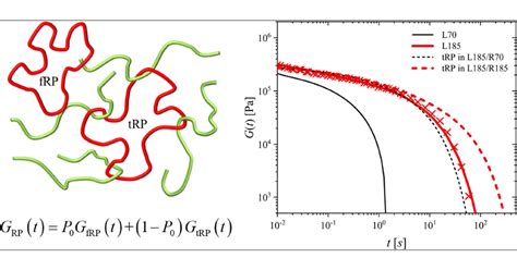 Predicting The Rheology Of Linearring Polymer Blends From The