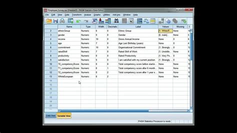 How To Create Dummy Variables In Spss2022 Youtube