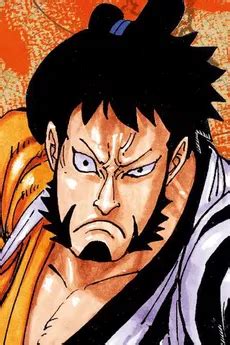One Piece Lista De Personajes Fichas Seiyuus Cumpleaños Y Más