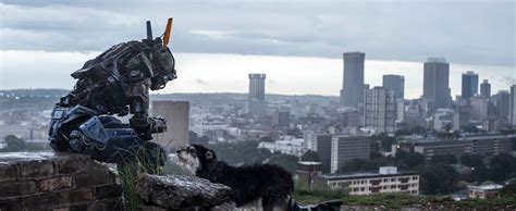 Chappie 1080p Hd Wallpaper