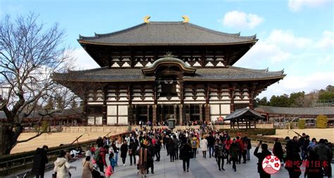 2025奈良自由行5日3日1日經典行程總整理春日大社平城宮跡若草山玩透透 樂吃購日本