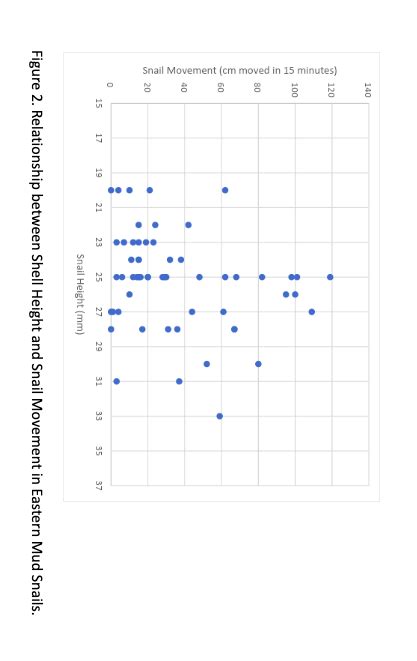 30 Figure 2 Relationship Between Shell Height And Chegg Com