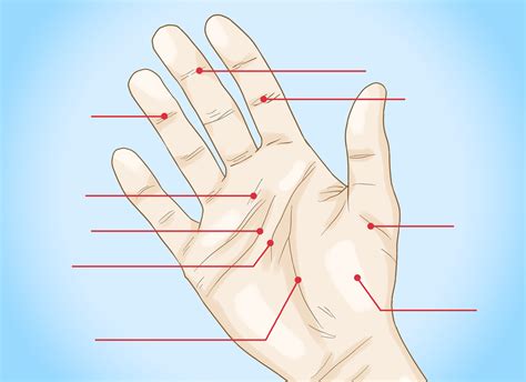 How To Do A Modern Palm Reading With Pictures WikiHow