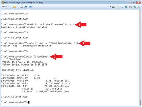 Metasploit Cve 2007 6377 Kali 1 0 Badblue 2 72b Passthru Overflow Mimikatz Winpmem Memory Dump