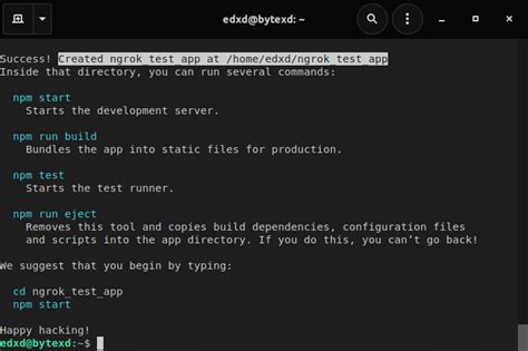 Introduction To Ngrok A Tutorial For Beginners Bytexd