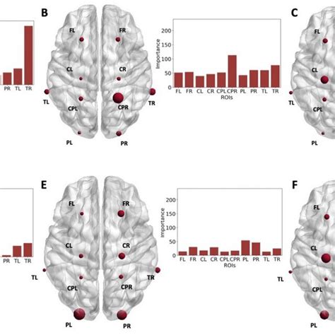 A Accuracy Of The Classification Using Features From Individual Rois
