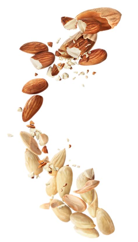 Economía Circular Sustainablealmondeu