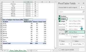 Pivot Table Slicer Top 2 Methods Examples How To Create