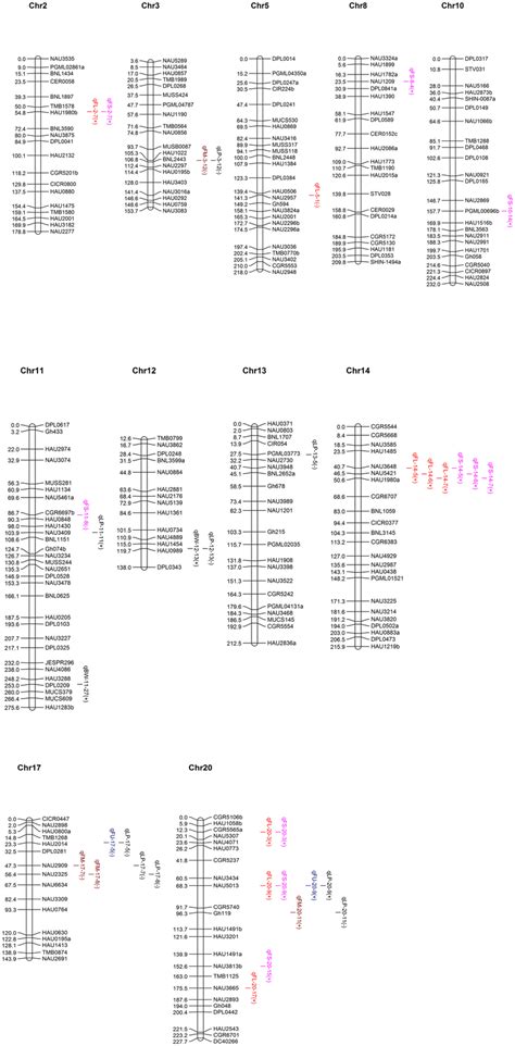 Mapping Of Qtls For Cotton Fiber Quality And Yield Traits On The
