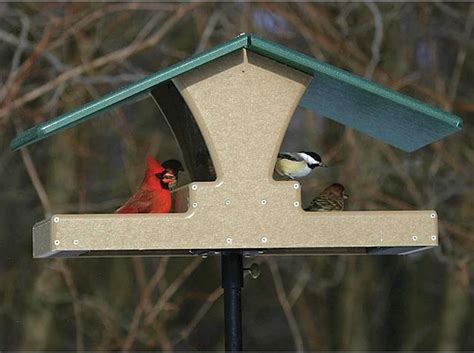 Different Types Of Bird Feeders What Works For You