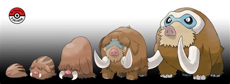 Piloswine Evolution