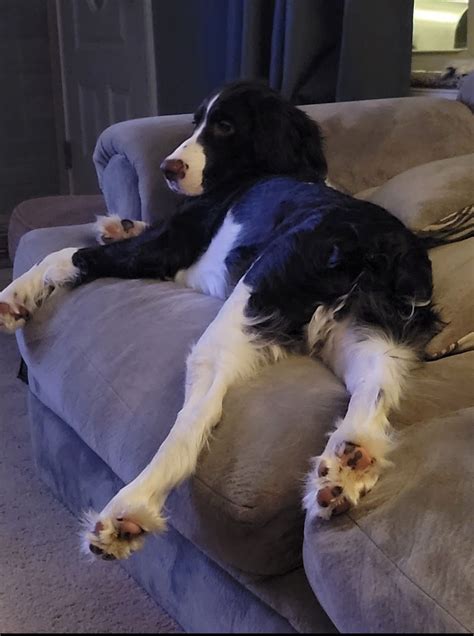 Lazy Day Album On Imgur