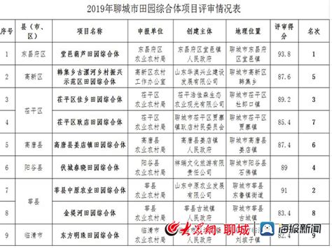 聊城市田园综合体项目评审结果出炉！堂邑葫芦田园综合体项目排名第一 海报新闻