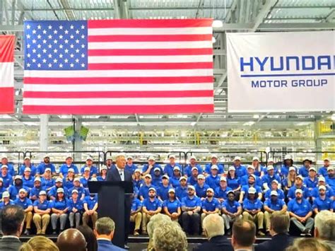 노는 거 아니고 솔루션중입니다진짜로미용실에서 칠 수 있는 사고는 다 치는 리트리버에 설채현이 출동했다 근데 왜 머리를 자르고 계시죠 ｜세상에 나쁜 개는 없다｜알고e즘