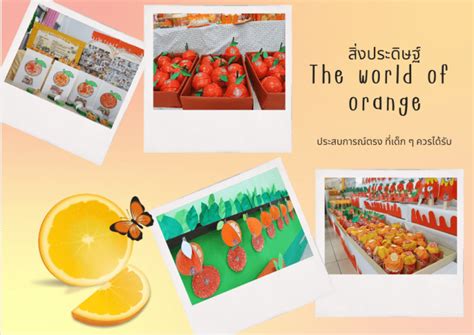 Project Approach เรื่อง ส้ม โรงเรียนยอแซฟวิทยา ปฐมวัย