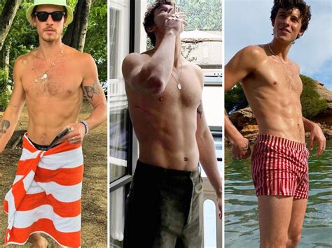 Shawn Mendes Sings About Pregnancy Scare In New Song