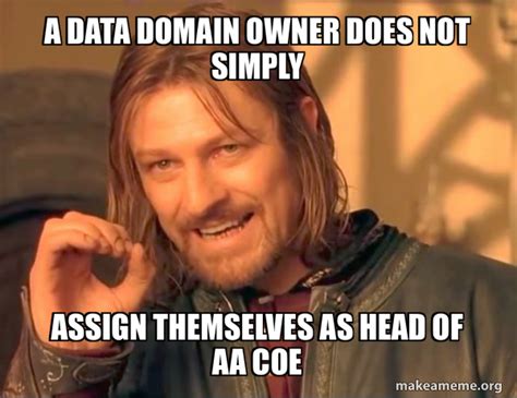 A Data Domain Owner Does Not Simply Assign Themselves As Head Of Aa Coe