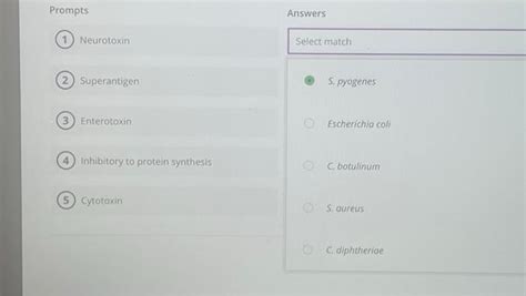 Solved Prompts Neurotoxin Superantigen Enterotoxin