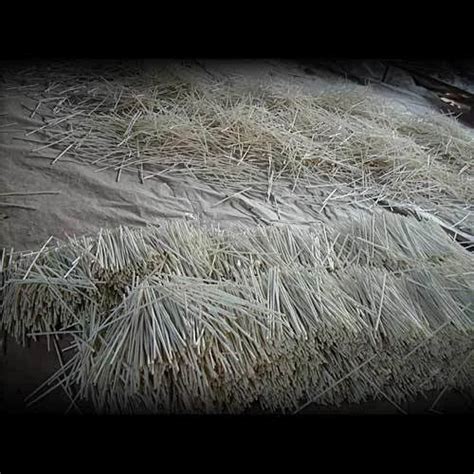 Diffuser Sticks At Best Price In Aligarh By Gulmarg Chemical Scientific Works ID 2012559691