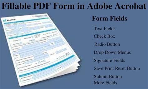 Create Form Fillable In Pdf Adobe Acrobat By Jayakumarjk932 Fiverr