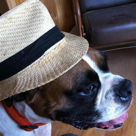 James Hellings Youtube