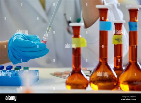 Pharmaceutical Development Laboratory Pre Formulation Design And