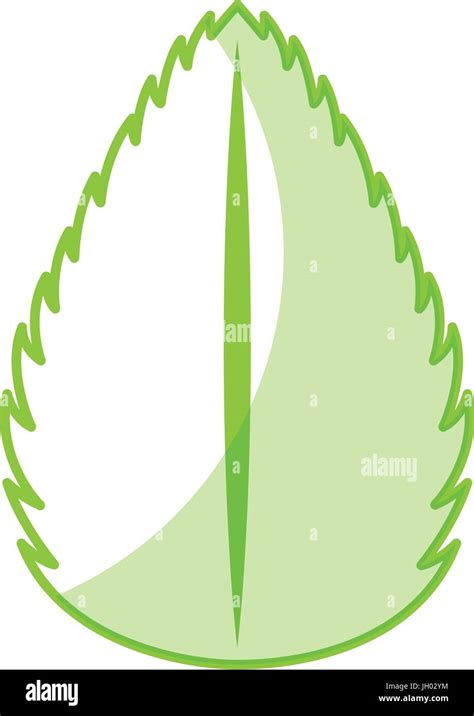 Tea Leafs Product Icon Stock Vector Image And Art Alamy