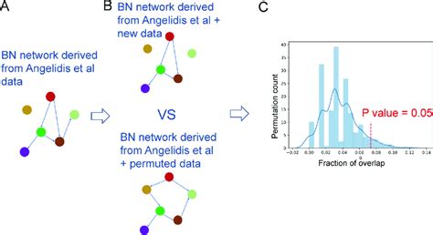 Permutation Analysis Highlights The Agreement Between The Two Aging Download Scientific Diagram