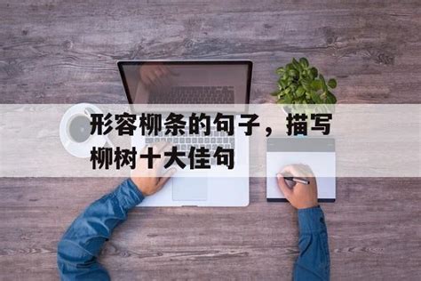 形容柳条的句子描写柳树十大佳句 闪亮的我