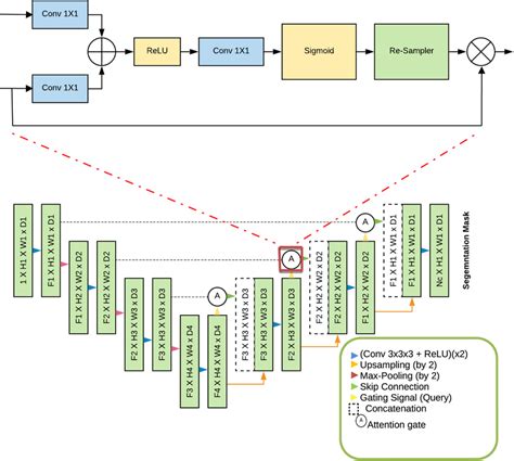 Attention U‐net Architecture The Architecture Follows As Four Levels
