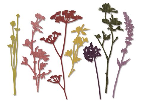 Sizzix Thinlits Die Set 7pk Wildflowers Global Hobby Og Kunst